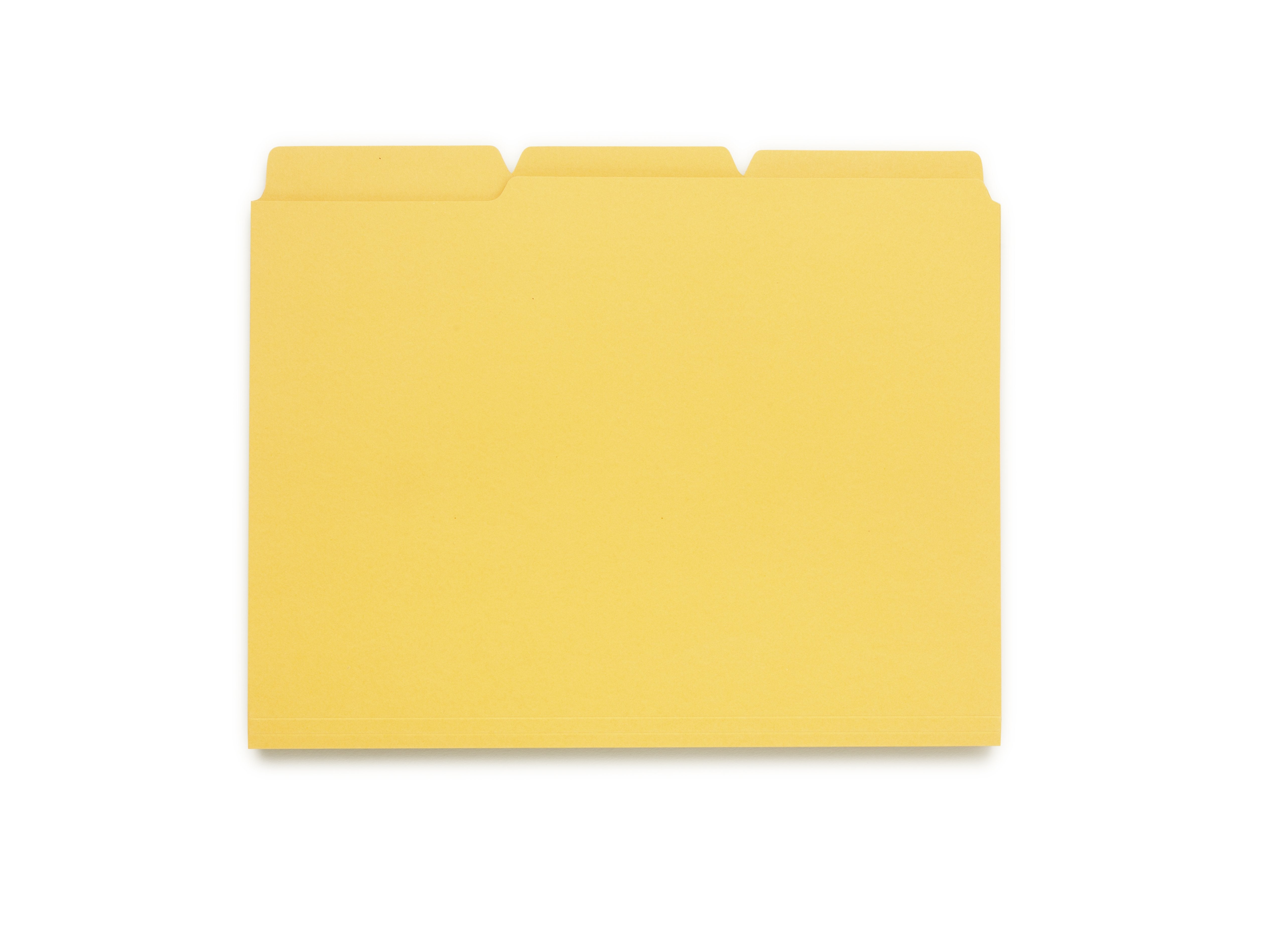 File Folders - Mustard – Shorthand