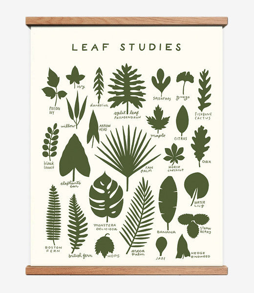 Leaf Studies – Shorthand