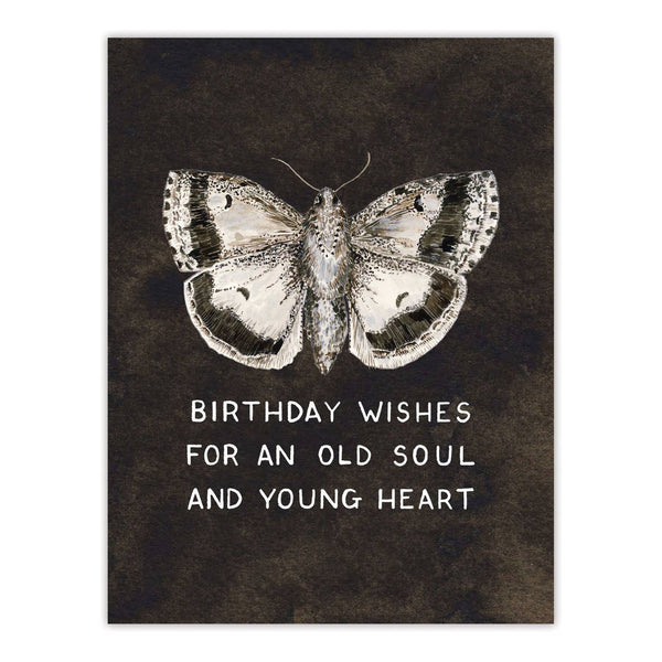 Moth Birthday Wishes – Shorthand
