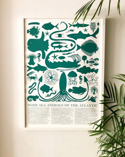 Sea Animals of the Atlantic Poster – Shorthand