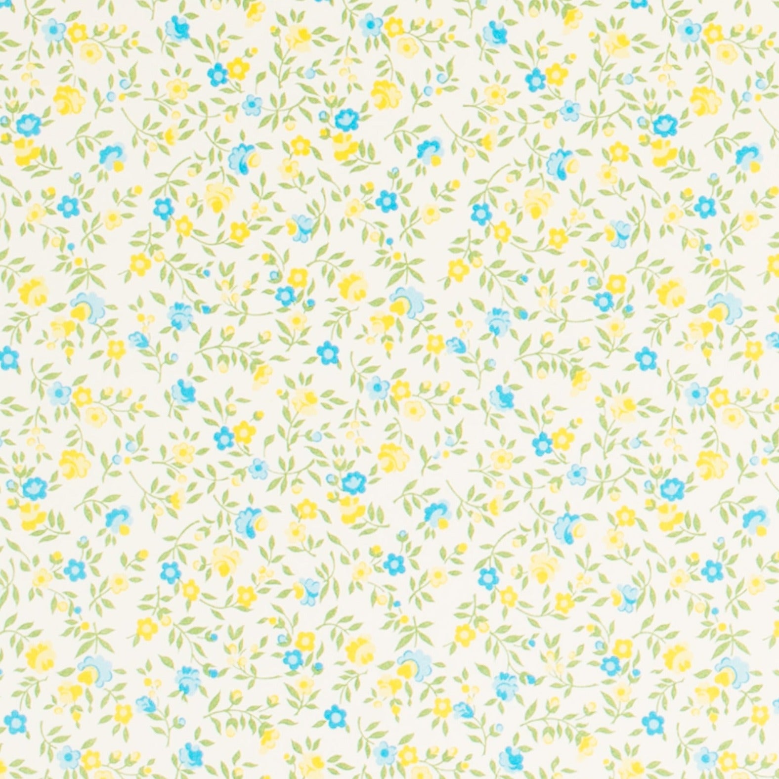 Carta Varese - Flower Rain (Yellow/Blue) – Shorthand