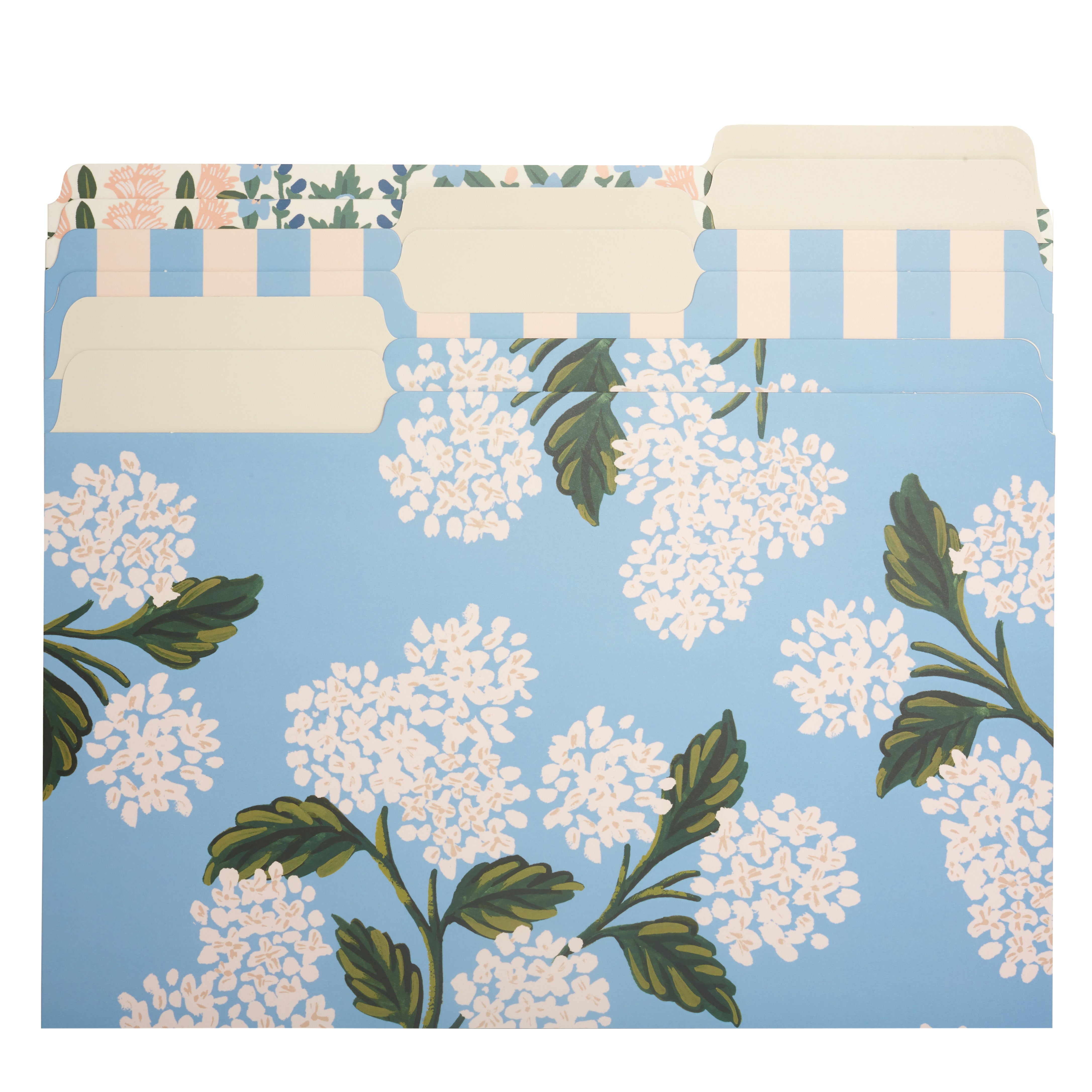 Hydrangea File Folder – Shorthand